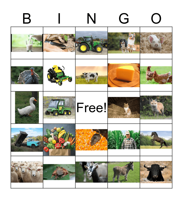 Farm Fun Bingo Card
