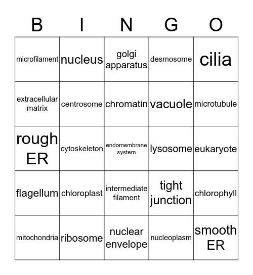 CELL STRUCTURE BINGO Card