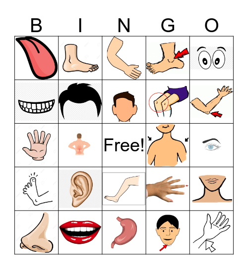 French Body Parts Bingo Card