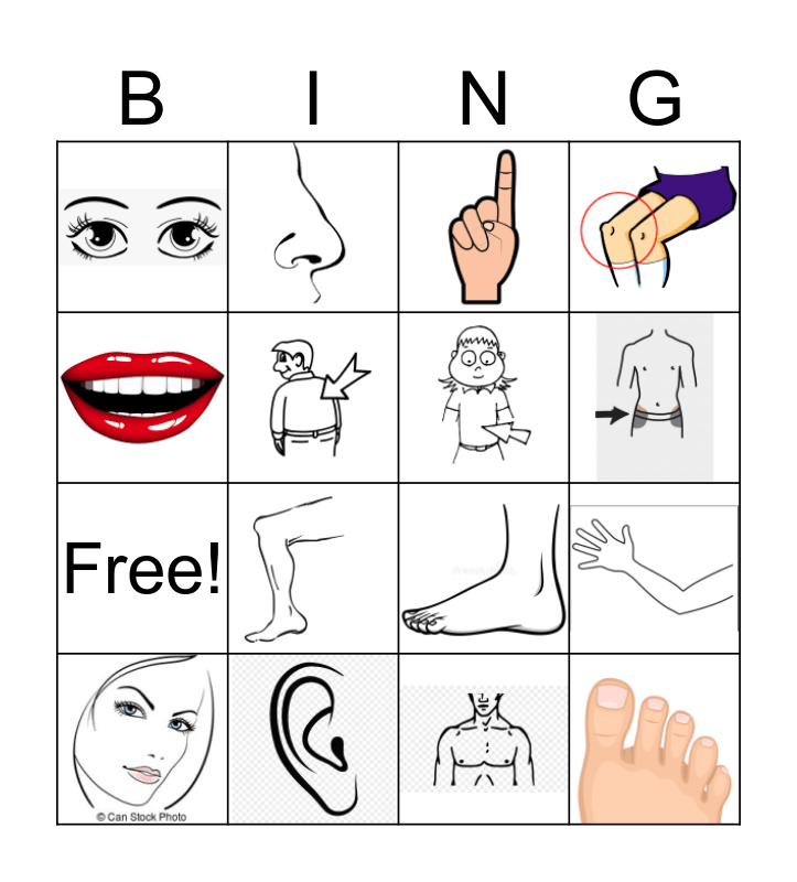 Parts of the Body Bingo Card