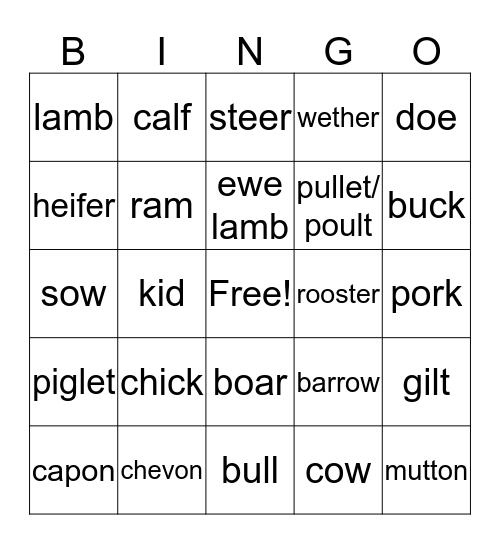 Livestock Terminology Bingo Card
