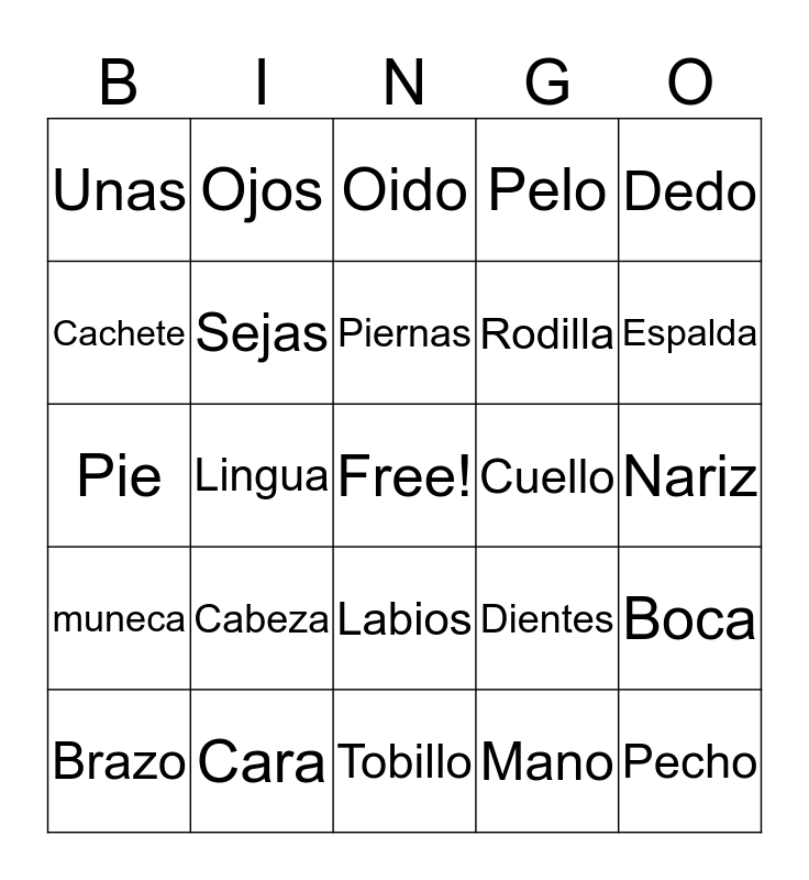 Partes Del Cuerpo Bingo Card