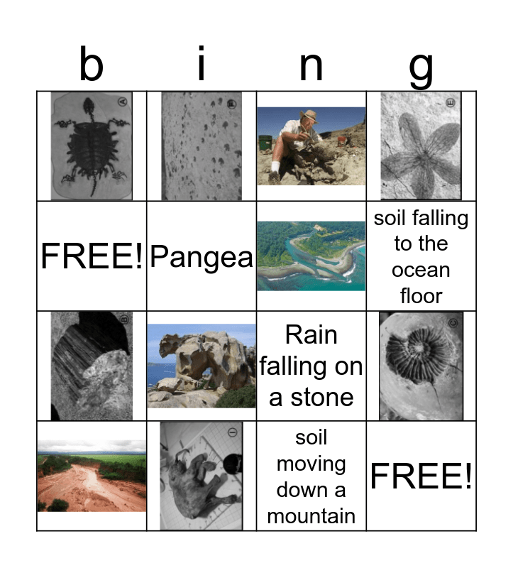 Fossils Bingo Card