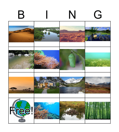 Animal Habitat BINGO Card