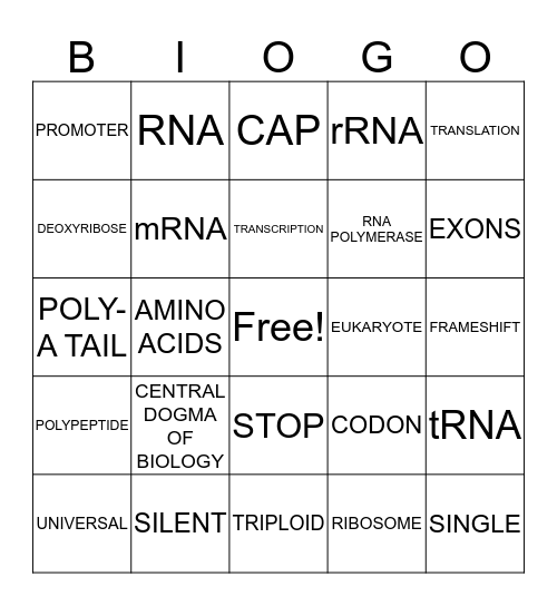 Bio 1 Honors RNA & Protein Synthesis Review Bingo Card