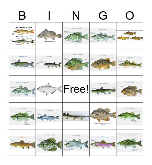 Oklahoma Fish Bingo Card