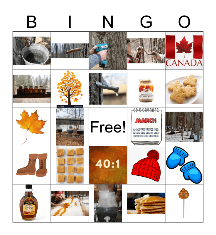 Maple Syrup Bingo Card