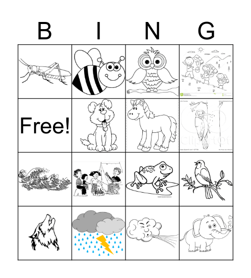 Nature Sounds Bingo Card