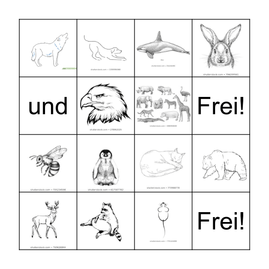 Die Tiere Bingo Card