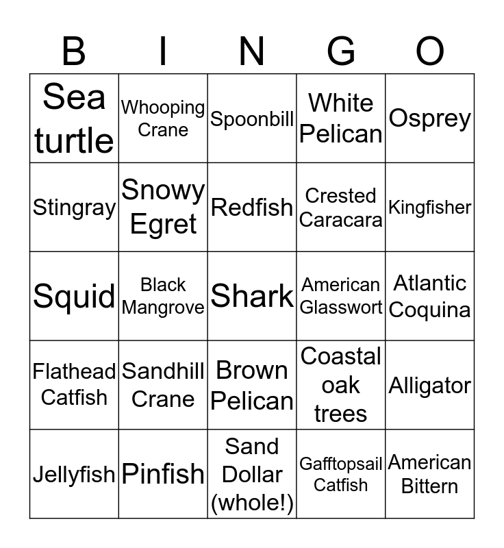 EVS 311 Port Aransas Bingo Card