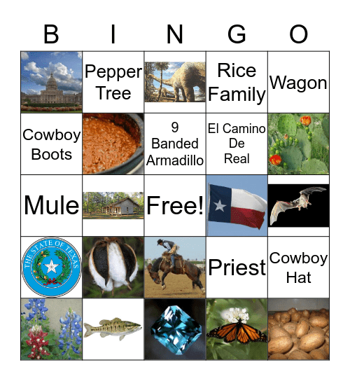 Mission Tejas Bingo Card