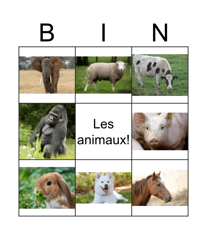 Les Animaux Bingo Card