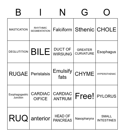 BILIARY AND GI ANATOMY Bingo Card