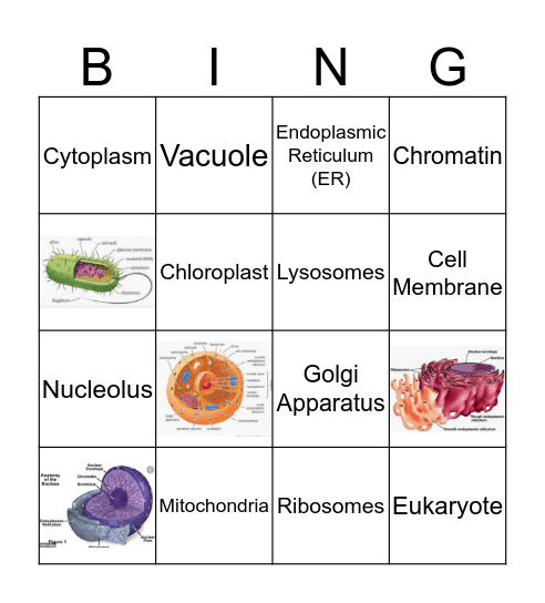 Cell Bingo Card
