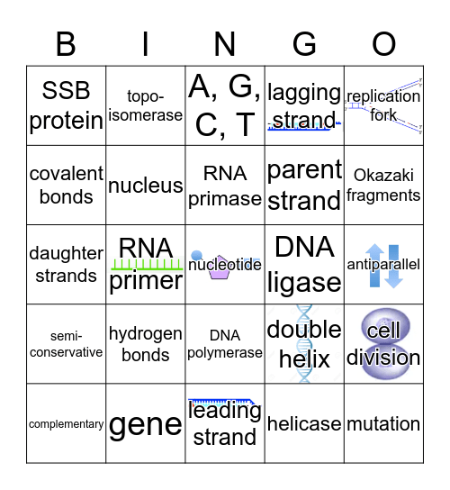 DNA Replication Bingo Card