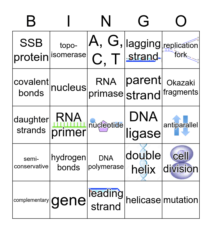 DNA Replication Bingo Card