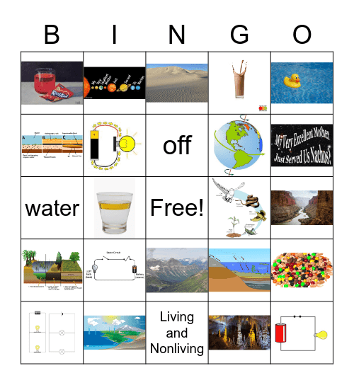 Science Vocabulary Bingo Card