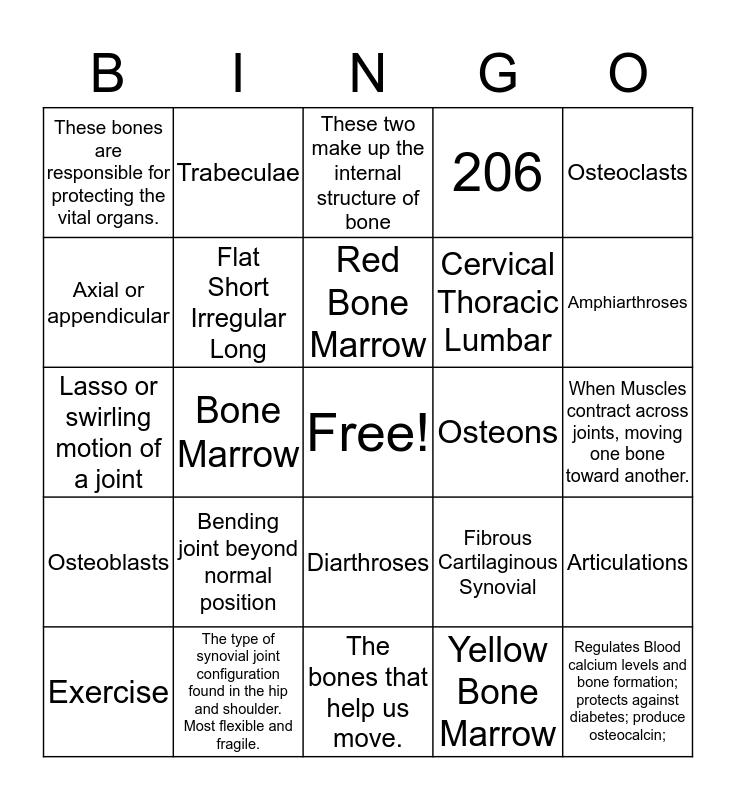 Skeletal System Bingo Card