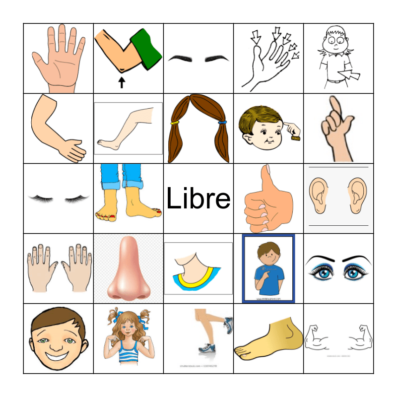 Lotería - Partes del Cuerpo Bingo Card