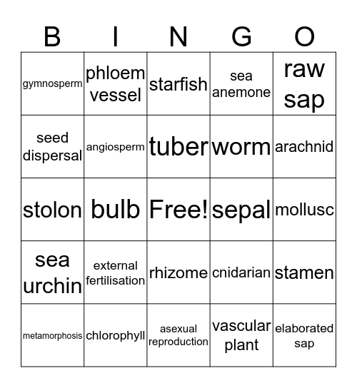 4o Natural Science Bingo Unit 4 Bingo Card