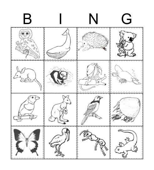 Australian Animal Bingo Card