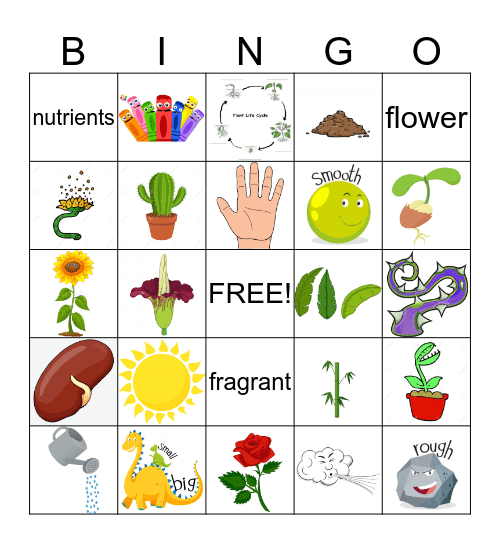 Plants! Bingo Card