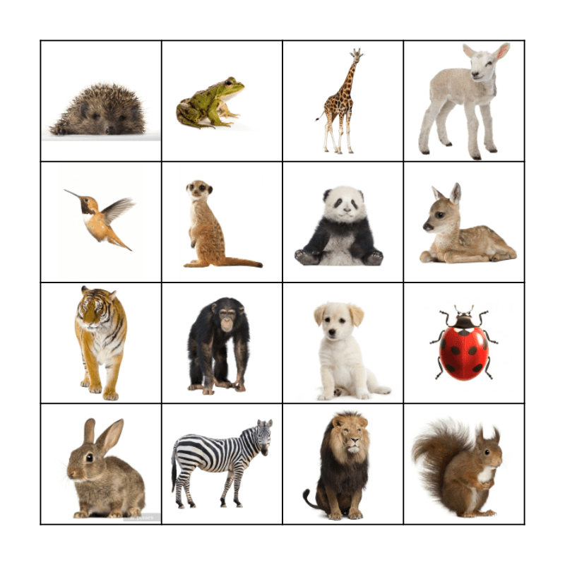 Lente Bingo! Bingo Card