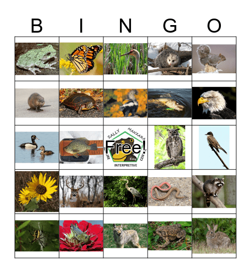 Nature Bingo Card