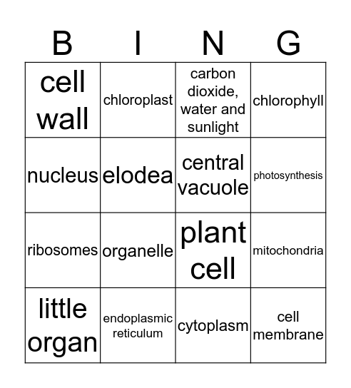 Plant Cells Bingo Card