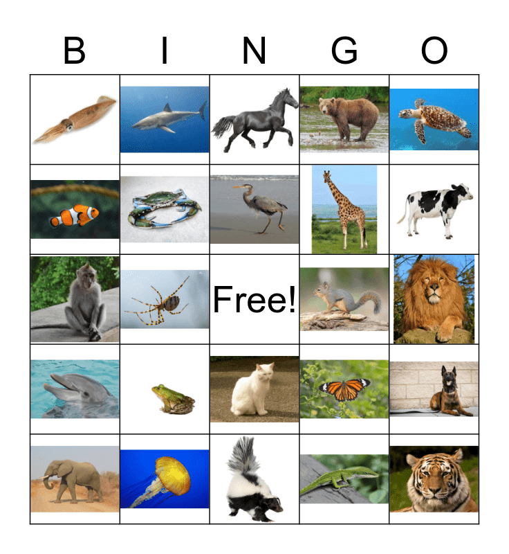Animal Bingo Card