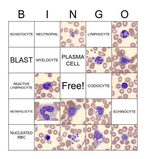 HEMATOLOGY BINGO Card