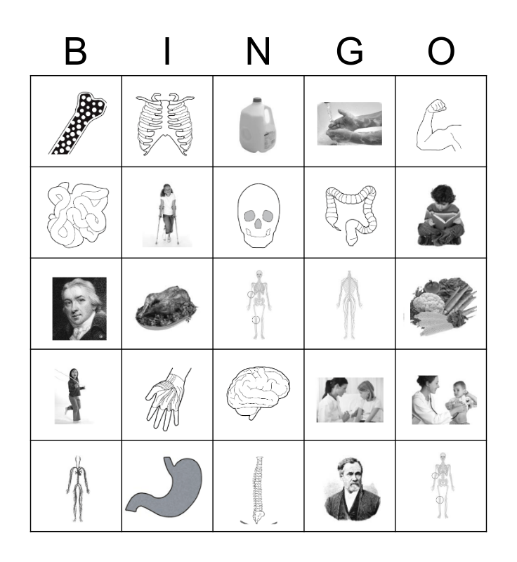 Human Body Bingo Card