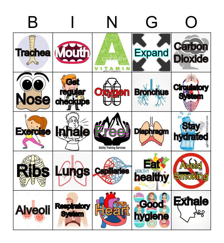 Respiratory System Bingo Card