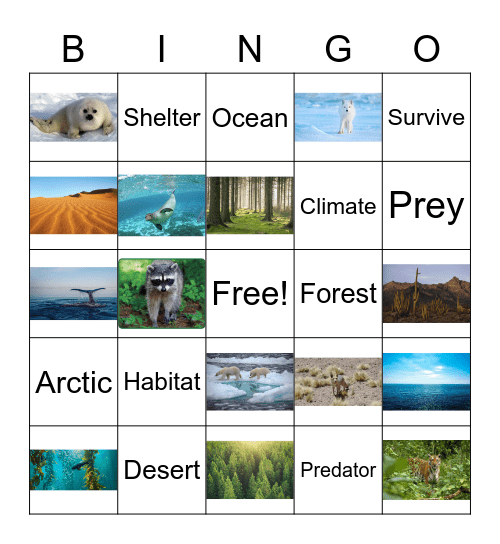 Animal Habitat Picture and Words Bingo Card