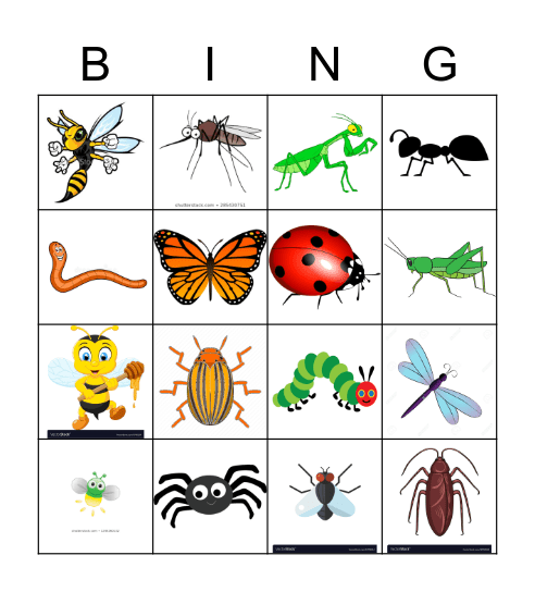 Bugs & Insects Bingo Card