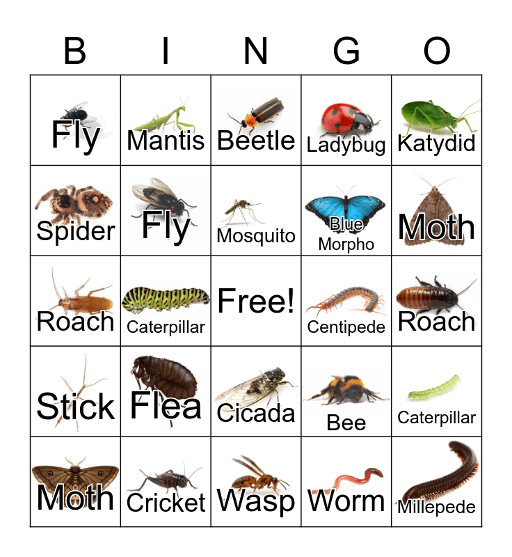 Bugs Bingo Card