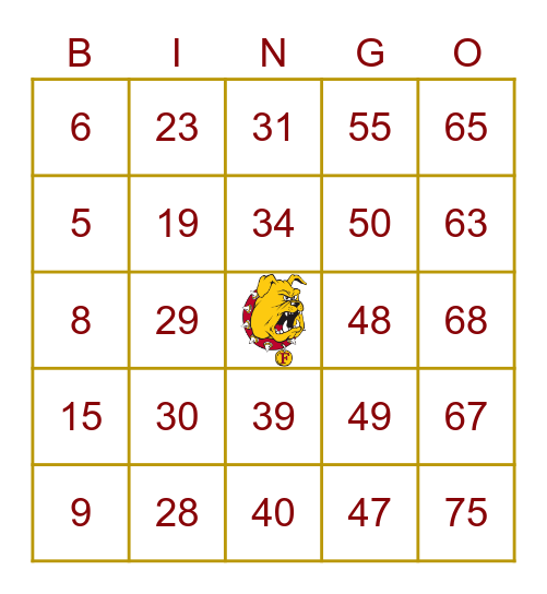 Number Bingo 1-75 Bingo Card