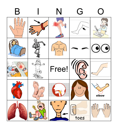 El cuerpo Bingo Card