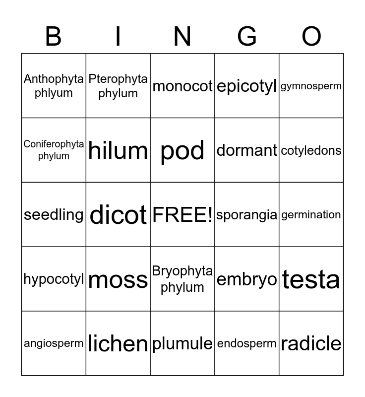 Botany (lesson 1) & Seeds (lesson 2) Bingo Card
