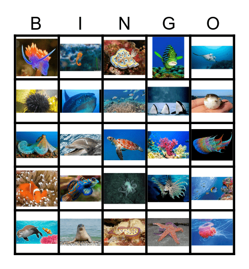 under the sea Bingo Card
