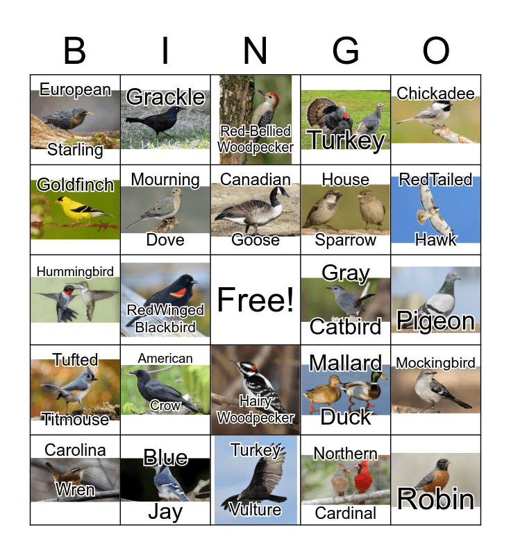 Bird Watching Bingo Card