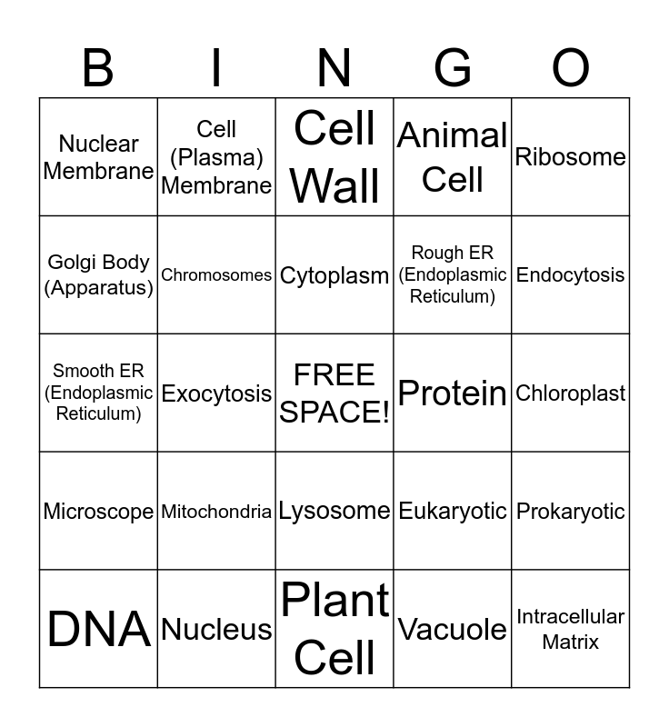 Cell Organelles Bingo Card