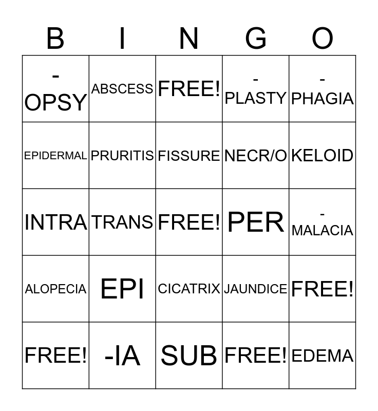 4 INTEGUMENTARY SYSTEM Bingo Card