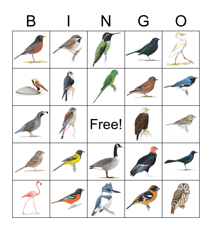 NORTH AMERICAN BIRDS Bingo Card