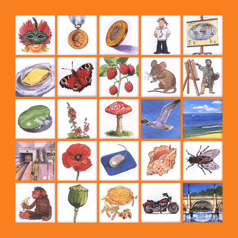 bingo [m] N Bingo Card