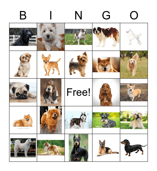 Dog Breeds Bingo Card