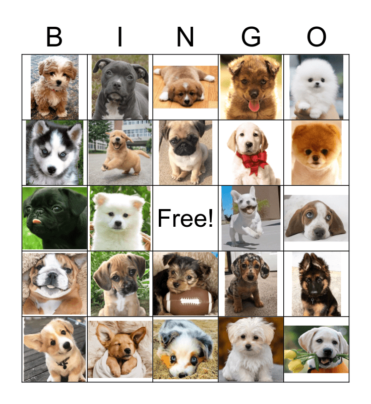 PUPPY BINGO Card