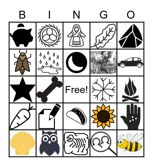 Living and Non-Living Bingo Card