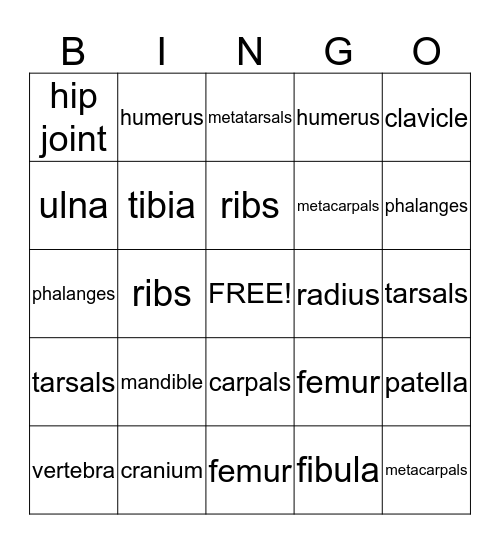 The Skeletal System Bingo Card