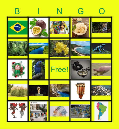 BRAZIL Bingo Card